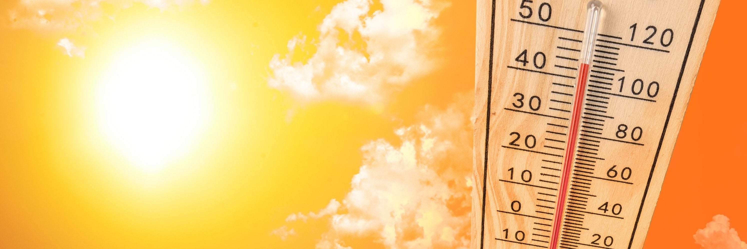 Beat the Heat: Your Air Compressor Summer Maintenance Checklist ...