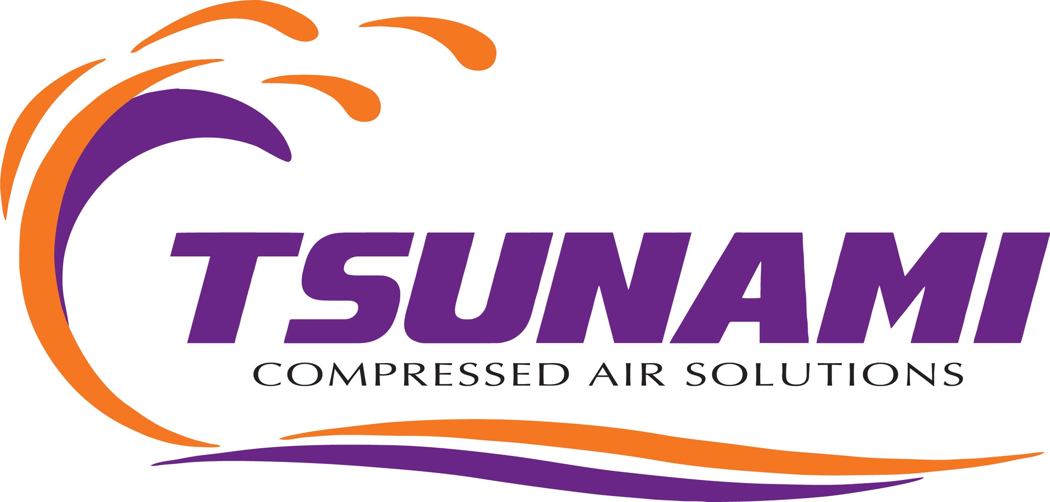 Tsunami Air Filter Replacement Elements and Parts — Compressed Air ...